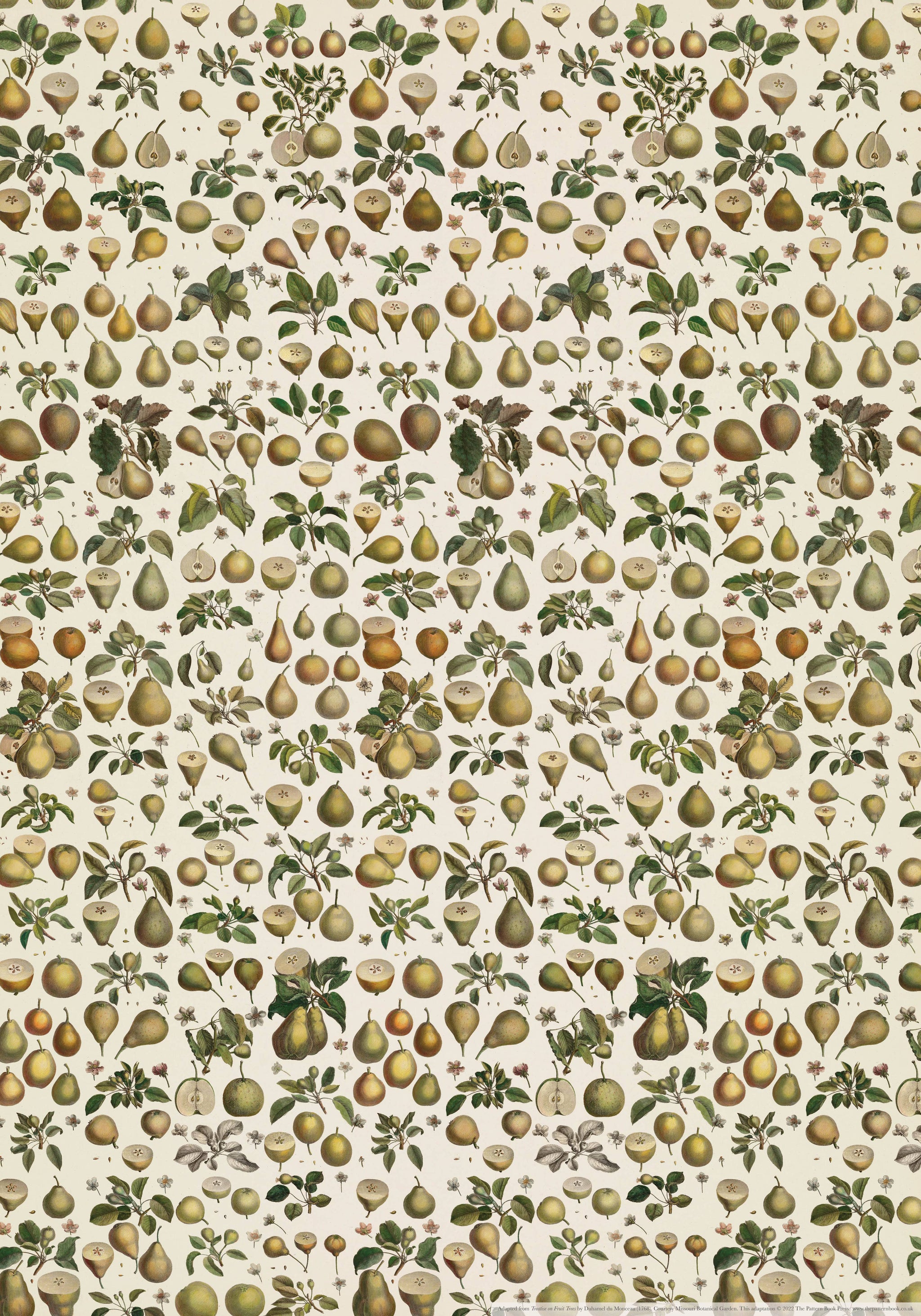 Pears Poster Wrap